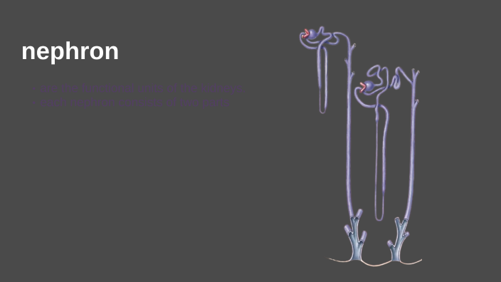 burikat by k m on Prezi
