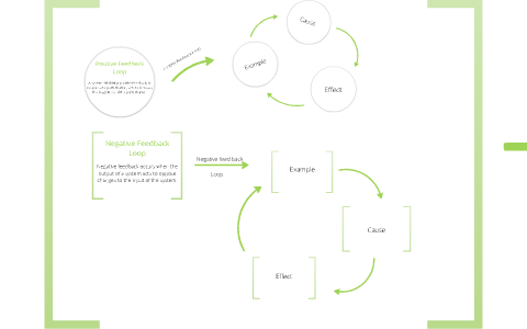 Homeostasis Project by Ally Smith on Prezi