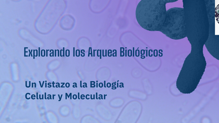 Explorando los Arquea Biológicos by tahiry ortiz on Prezi