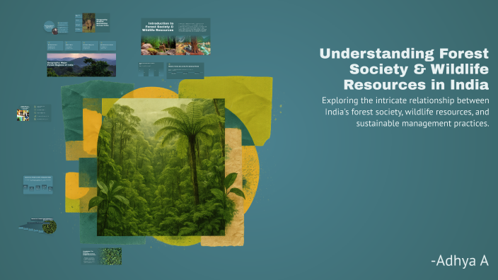 Understanding Forest Society & Wildlife Resources in India by Arya ...