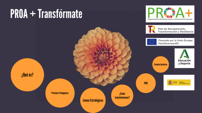 PROA + TRANSFÓRMATE by Sonsoles Bustamante Martín on Prezi