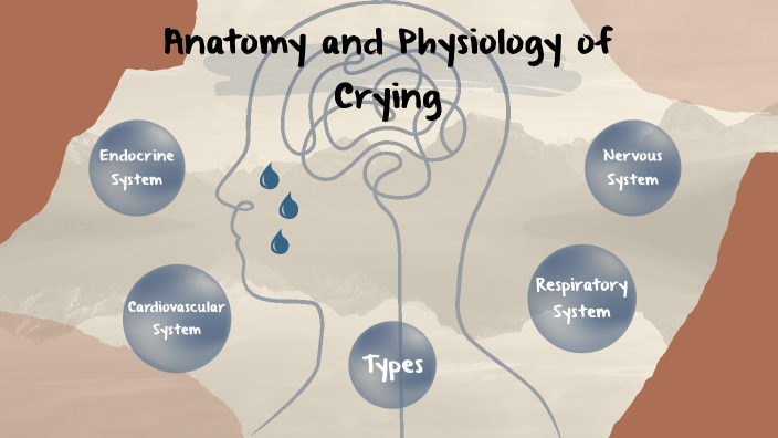 Crying Anatomy Presentation by Mayson Mcqueeney on Prezi