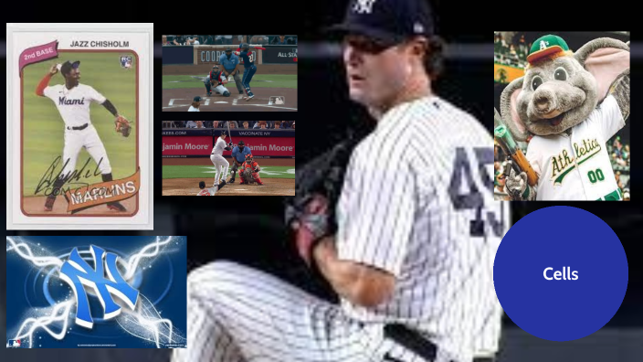 Baseball Cell by Matthew Flanagan on Prezi