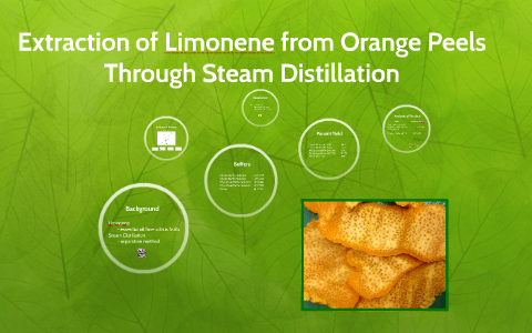 Extraction of Limonene Through Steam Distillation by on Prezi