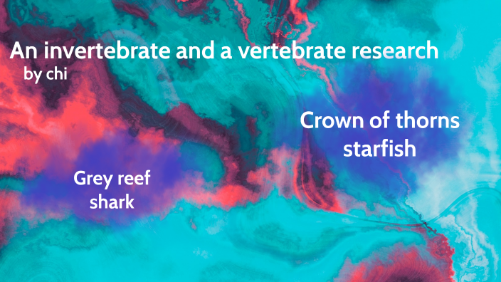 Grey reef shark and crown of throne starfish by Chi tran on Prezi
