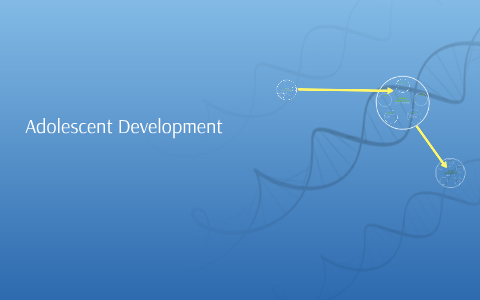 Stages of Adolescent Development by Tyler Grogan