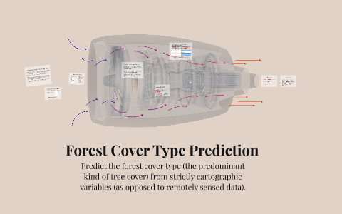 Forest Cover Type Prediction by sania sidiki on Prezi