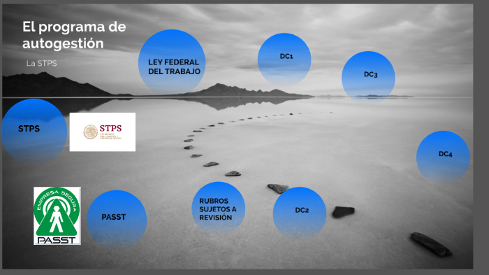 El programa de autogestión (PASST) y la STPS by luis diego gomez ...