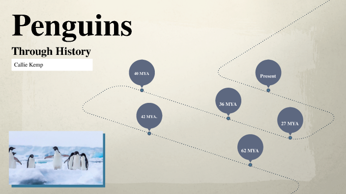 Penguin Evolution by CALLIE KEMP - STUDENT on Prezi