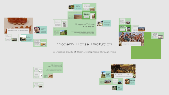 Modern Horse Evolution by max liles on Prezi