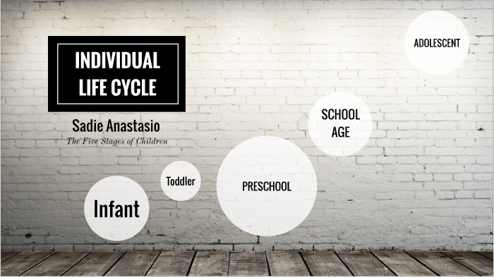 Individual Life Cycle by Sadie Anastasio on Prezi
