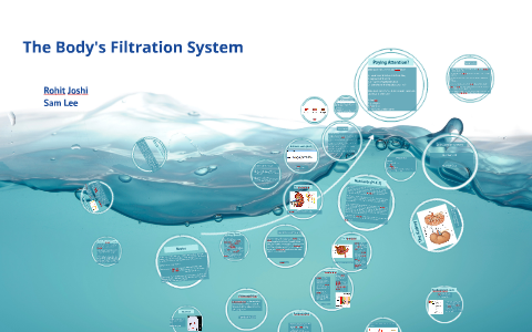 The Body's Filtration System by Rohit Joshi on Prezi