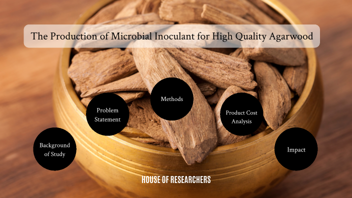 The Production of Microbial Inoculant for a High Quality Agarwood by ...