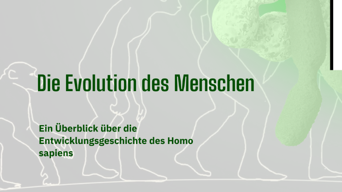 Die Evolution des Menschen by Mel Ö on Prezi