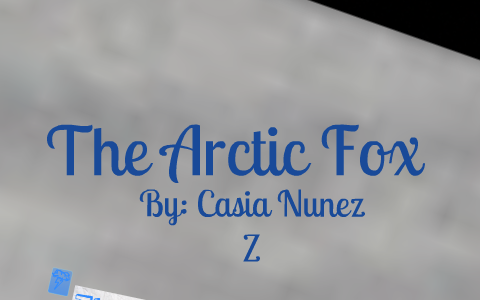 Natural Selection: Arctic Fox by Cassie Nunez on Prezi