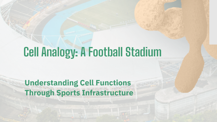 Cell Analogy: A Football Stadium by Lars McGraw on Prezi