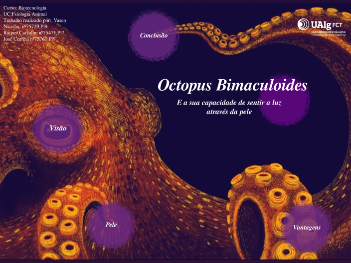 Octopus Bimaculoides by Eduardo Correia on Prezi