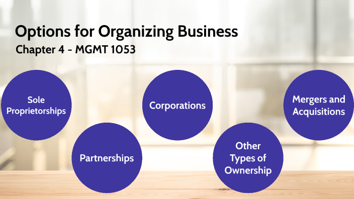 Chapter 4 Options for Organizing Business by Erica Zaretsky on Prezi