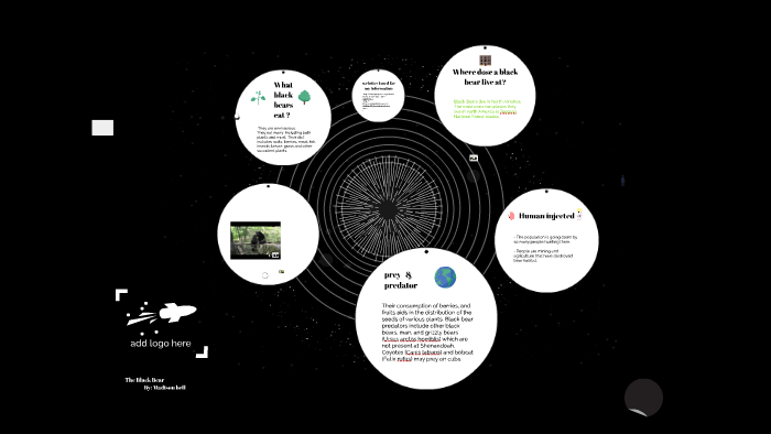 The Black Bear by maddi bell on Prezi