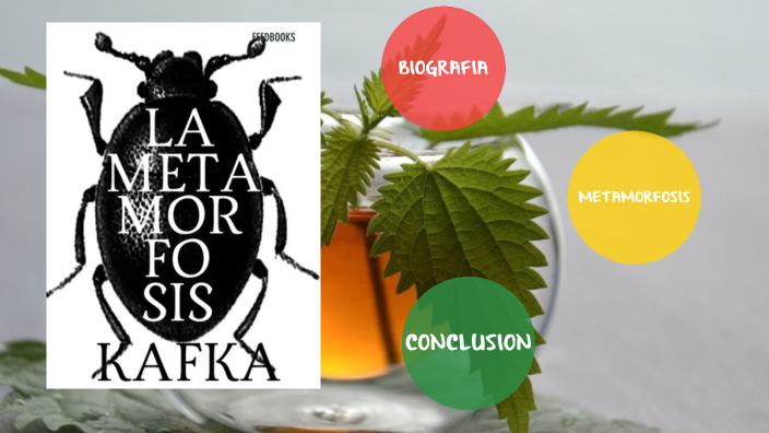 LA METAMORFOSIS (FRANZ KAFKA) by Brisa Jimenez on Prezi