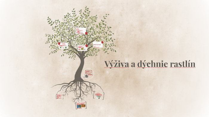 Výživa a dýchanie rastlín by on Prezi