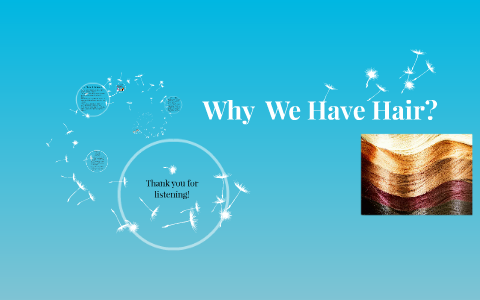Why Do We Have Hair? by Alysha Bard on Prezi