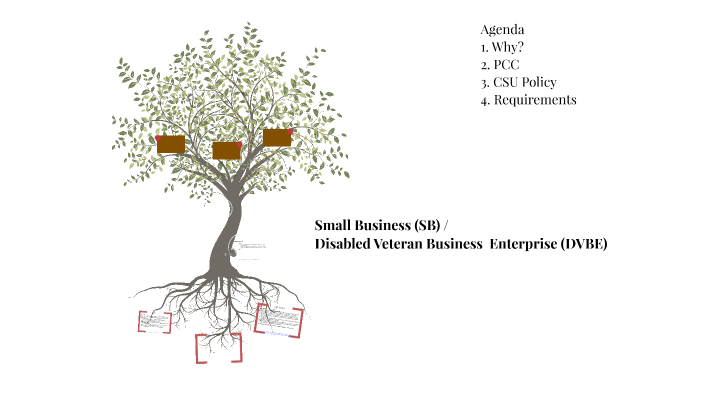 Small Business (SB) / Disabled Veteran Business Enterprise (DVBE) by ...