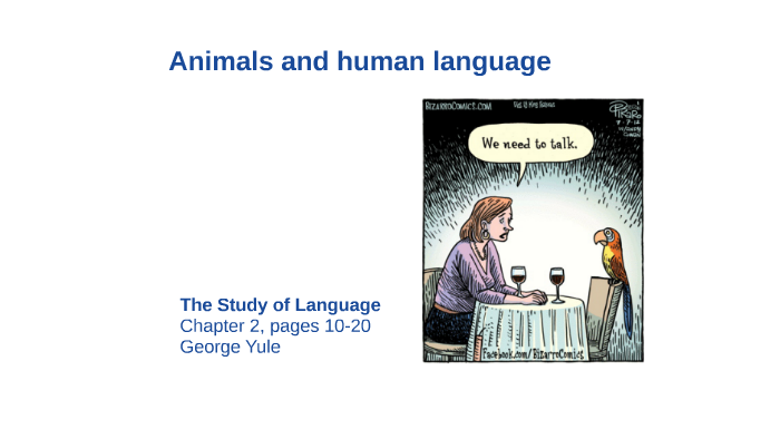 Animals and human language by Markus Braun on Prezi