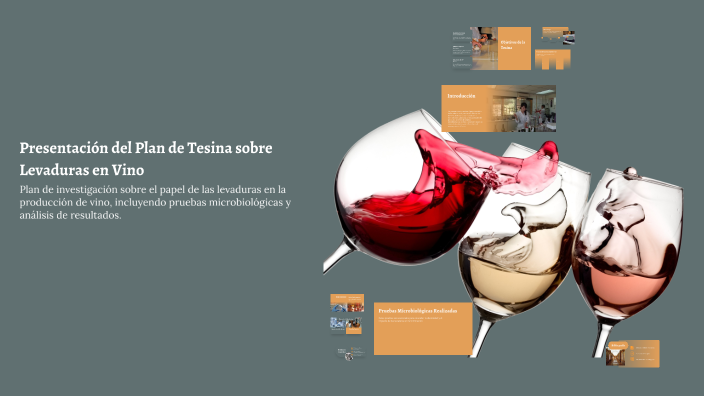 Presentación del Plan de Tesina sobre Levaduras en Vino by Iris Sulca ...