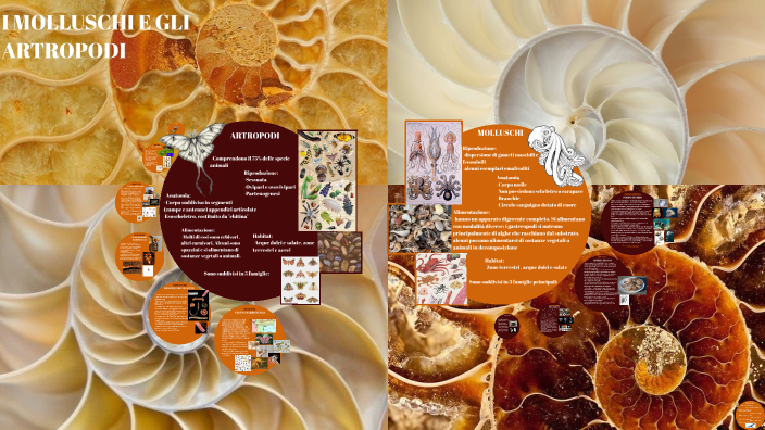 molluschi e artropodi by maia villani on Prezi