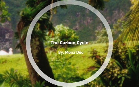 Carbon Cycle by Mona Deo on Prezi