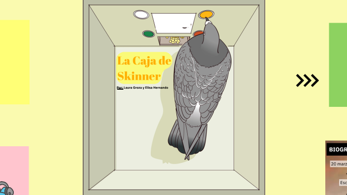 La caja de Skinner (Sin plantilla) by Laura Elena Groza on Prezi