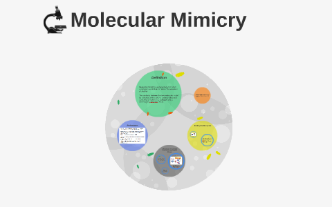 Molecular Mimicry by Fatma Janahi on Prezi