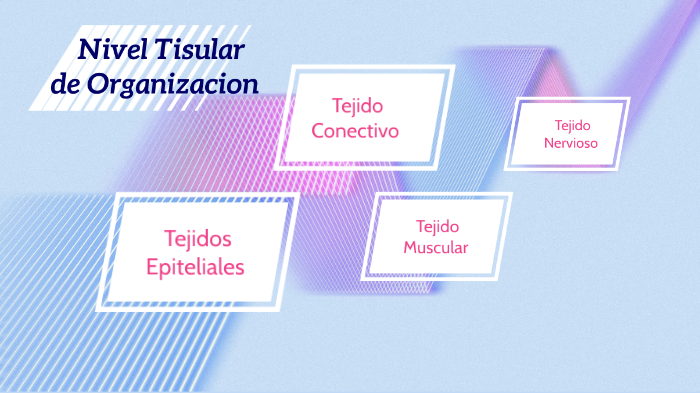 Nivel Tisular de Organizacion by Paola Camacho on Prezi