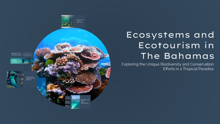 Ecosystems and Ecotourism in The Bahamas by jordan woods on Prezi