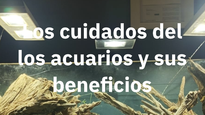 Prezi Acuario by Kendall Álvarez Salas on Prezi