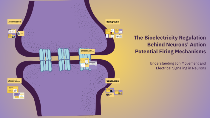 The Bioelectricity Behind Neurons' Action Potential Firing Mechanisms ...