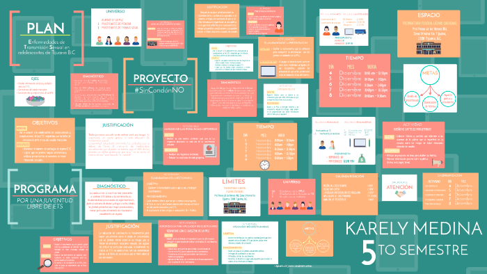 PLAN, PROGRAMA Y PROYECTO by Karely Medina on Prezi