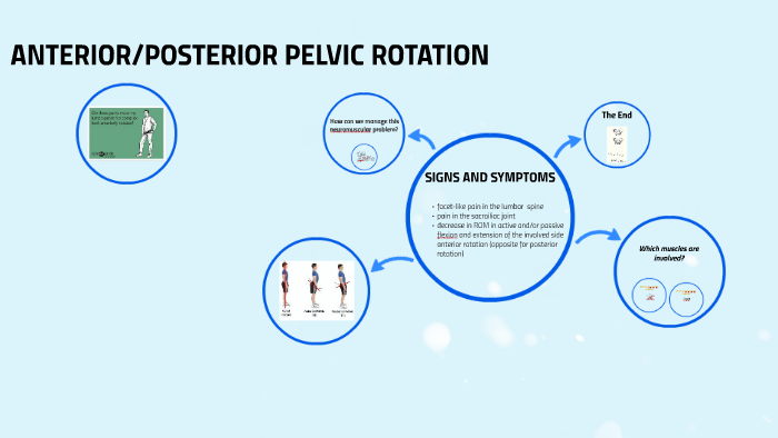 ANTERIOR/POSTERIOR PELVIC ROTATION by Lindsay Brooks on Prezi