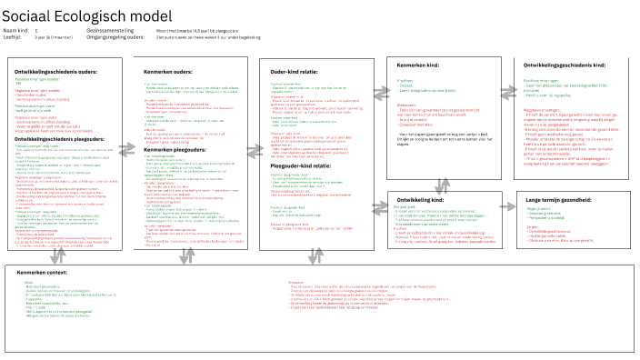 Sociaal Ecologisch model by Astrid Mens on Prezi