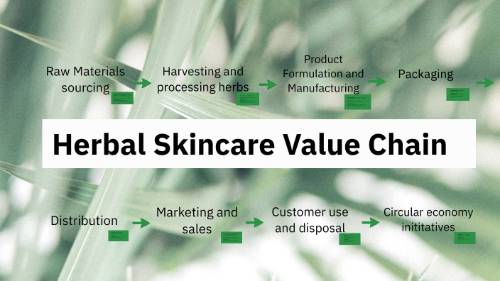 Herbal Skincare Value Chain by Meadbh O'Mahony on Prezi