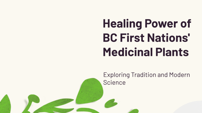 Healing Power of BC First Nations' Medicinal Plants by Singh Parminder ...