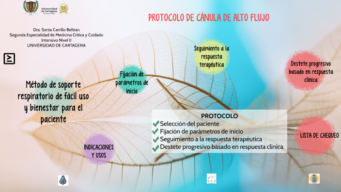 PROTOCOLO DE CNAF by Sonia Beltran on Prezi