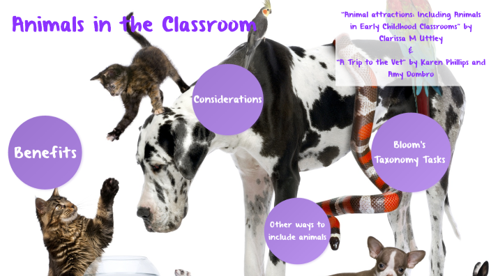 Animals in the Classroom by Katelyn Carpenter on Prezi