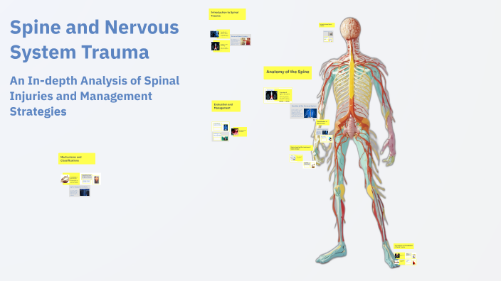 Spine and Nervous System Trauma by Katlyn Smith on Prezi