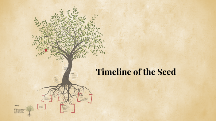 Timeline of the Seed by Brady Guffin on Prezi