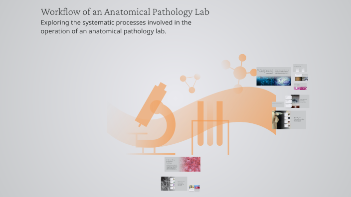 Workflow of an Anatomical Pathology Lab by Ya Qi Ng on Prezi