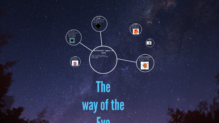 The way we see things and why,and how we see them by arlene gibbons on ...