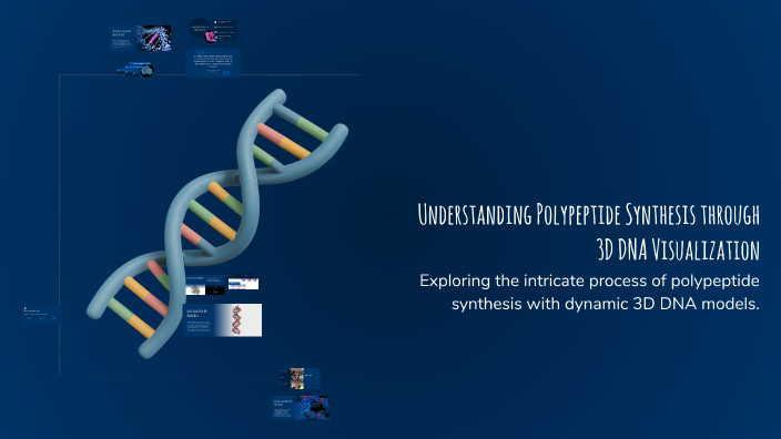Understanding Polypeptide Synthesis through 3D DNA Visualization by ...