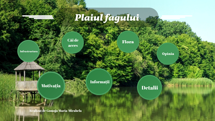 Plaiul Fagului by Nichita M on Prezi